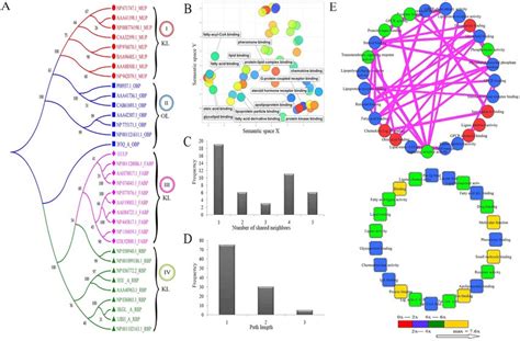 Clustering Of Phylogenetic Tree And Protein Protein Interactions Download Scientific Diagram