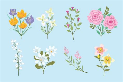 유기농 플랫 플라워 컬렉션 무료 벡터