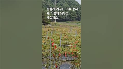 원점 임영웅 임영웅 가수님 쌀쌀합니다 감기 조심하세요 Youtube