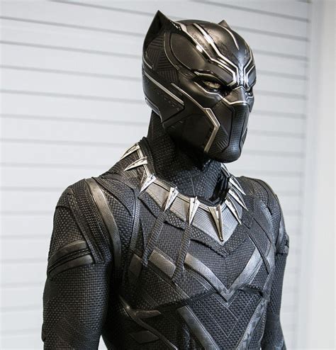 Who Is The Black Panther National Museum Of African American History