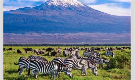 Kenyas Most Beautiful National Parks And Conservancies Africasnow