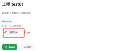 Jenkins参数化构建 Csdn博客