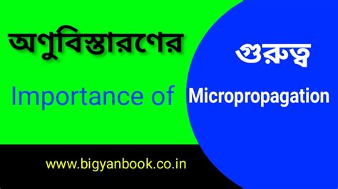 অণুবিস্তারণের গুরুত্ব Importance Of Micropropagation Application Of
