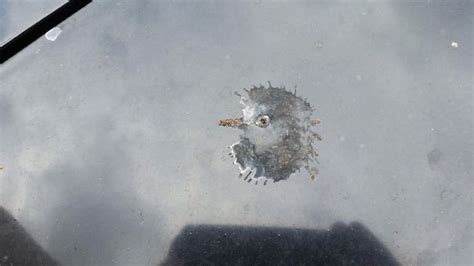 Hilarious Examples Of Pareidolia In Everyday Objects Barnorama