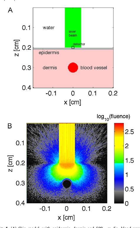 Figure 2 From Coupling 3d Monte Carlo Light Transport In Optically Heterogeneous Tissues To