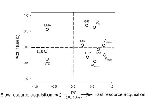 广东鼎湖山森林生态系统国家野外科学观测研究站