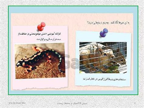 پاورپوینت نقشه مفهومی انسان و محیط زیست درس 6 تنوع زیستی، تابلوی زیبای آفرینش گاما