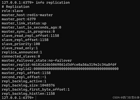 redis复制（replica）主从模式 redis replica csdn博客