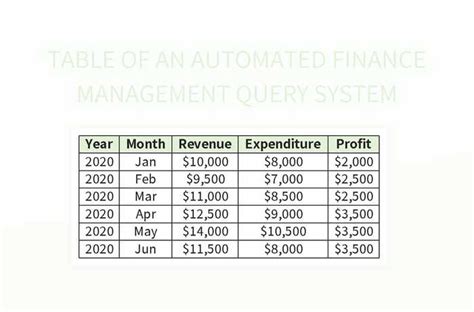 optimizing efficiency a guide to automated financial management systems excel template free