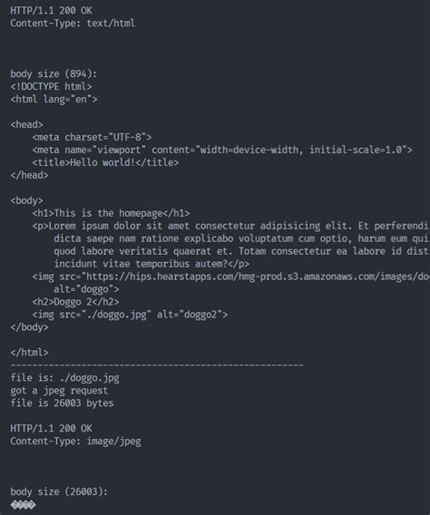 C Sockets Jpeg Image Not Displaying Properly Stack Overflow