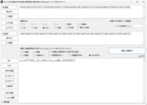 Picoctf 2024 Writeup うさみみハリケーンで解いてみた 匿名希望の方による提供