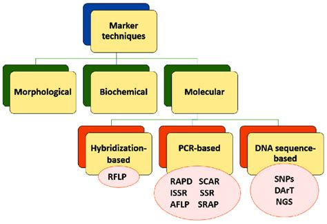 Classification Of Marker Technologies Download Scientific Diagram
