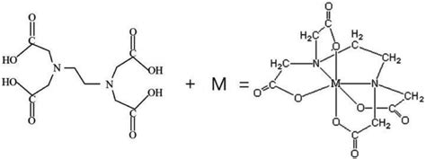 Draw The Structure Of Edta And Show How It Binds To 45 Off