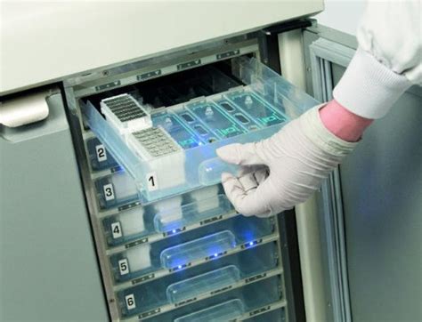 Fujirebio Lumipulse G 晃聖有限公司