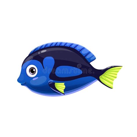 Dory Vector Fish Stock Illustrations 222 Dory Vector Fish Stock