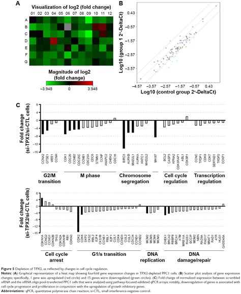 Targeted Tpx2 Increases Chromosome Missegregation And Suppresses Tumor Ott