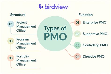 Project Pmo Types
