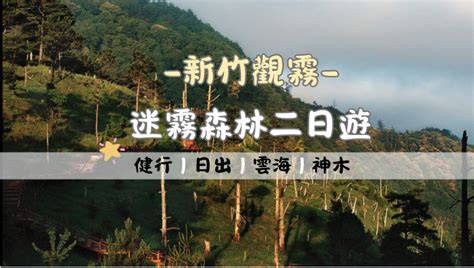 2025 新竹觀霧迷霧森林二日遊櫻花健行日出雲海神木 橘子貓TTtrips