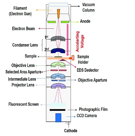 The Schematic Diagram Illustrates The Column Structure Of The Tem