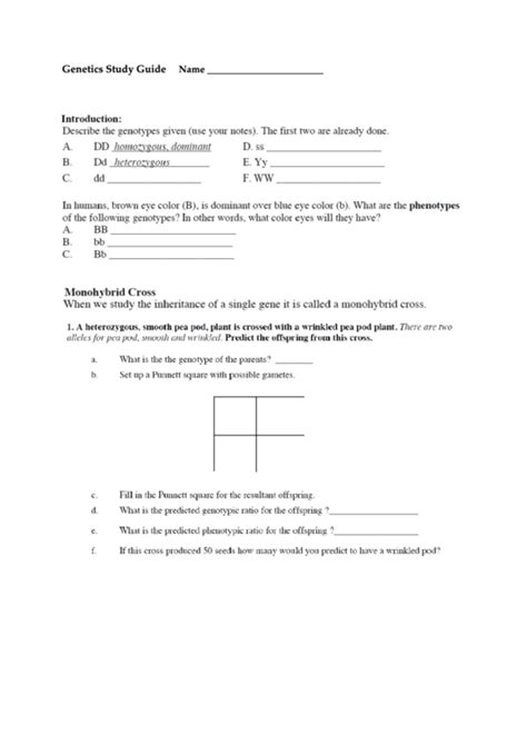 Genetics Study Guide Printable Pdf Download