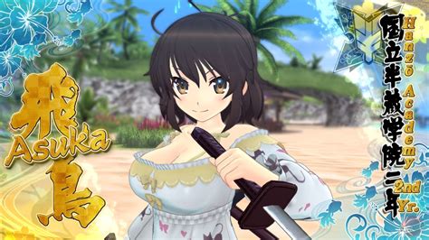 Senran Kagura Estival Versus описание системные требования оценки