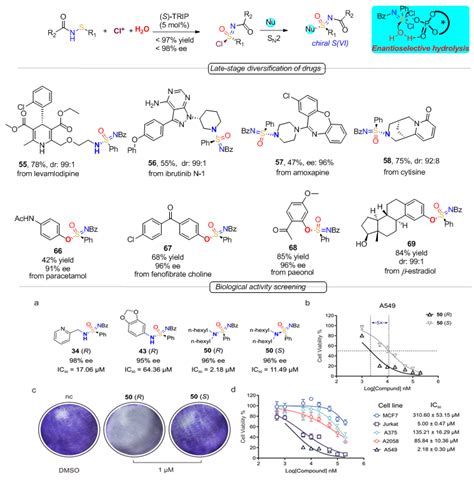 成都生物研究所在手性六价硫衍生物合成与药物筛选研究中取得新进展 生物通