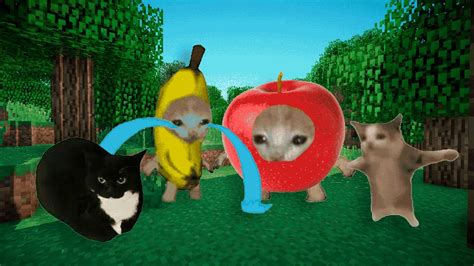 Создать мем котики кошка мемные коты Картинки Meme