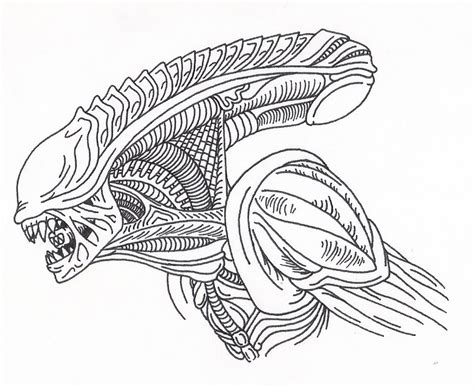 Xenomorph Head Picture Drawing Drawing Skill