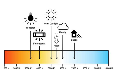White Balance In Photography Visual Education