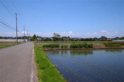 八日市場 下富谷城 愛甲妖星相模の狂人城攻め録