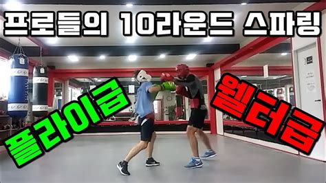 플라이급vs웰터급 복싱 프로선수들의 10라운드 스파링훈련 하이라이트 Youtube