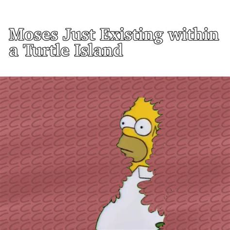 random scp meme 1 [[scp 3187]] the turtle and it s tourist r
