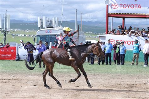АХ ын 100 10 жилийн ойд 11 30 д хурдалсан их насны морьд