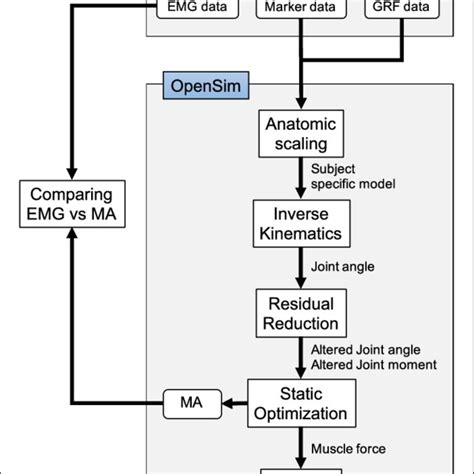 Flow Chart For Data Processing From Motion Capture To Opensim Download Scientific Diagram