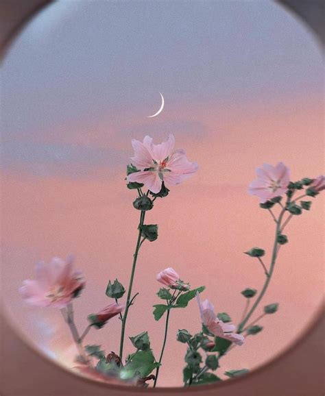 8个超好用的搜图网站，免费下载使用 知乎