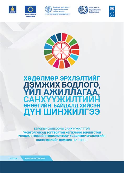 Хөдөлмөр эрхлэлтийг дэмжих бодлого үйл ажиллагаа санхүүжилтийн өнөөгийн байдалд хийсэн дүн