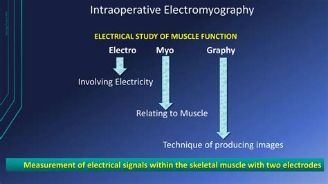 Intraoperative Electromyography Emg Pptx