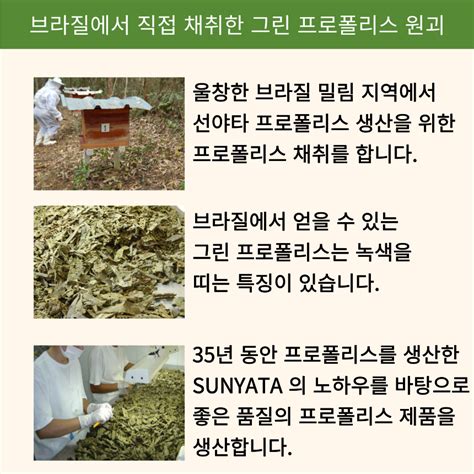 1 선야타 브라질 그린 프로폴리스 원액 30ml Brazil Green Propolis