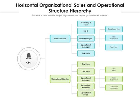 Horizontal Organizational Sales And Operational Structure Hierarchy