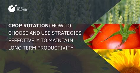 Crop Rotation Advantages Long Term Research Reveals Advantages Of