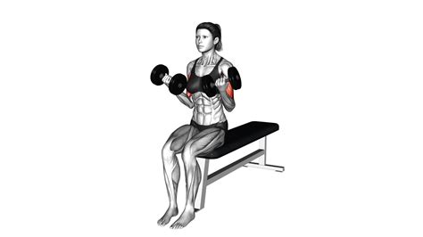 Female Dumbbell Seated Curl Video Guide And Tips For Effective Workout