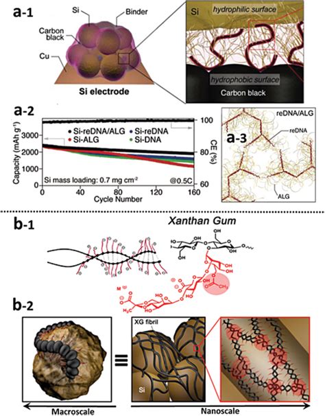 Natural Binders For Si Anodes A Force Distribution Of Linear And Download Scientific Diagram