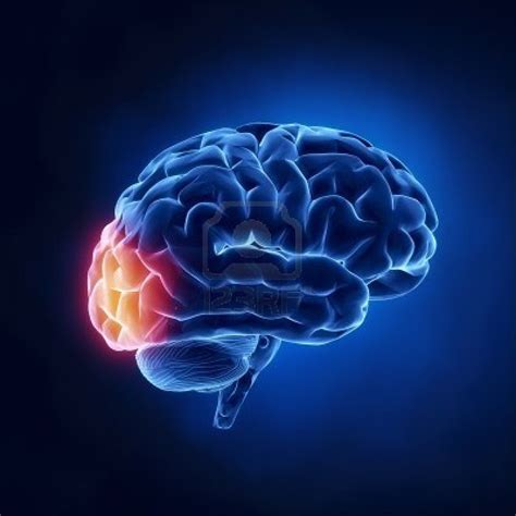 Пин на доске Brain