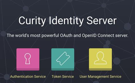 Malina Maria Constantinescu On Linkedin Curity 3 0 Is Now Released Cryptography Is Enhanced