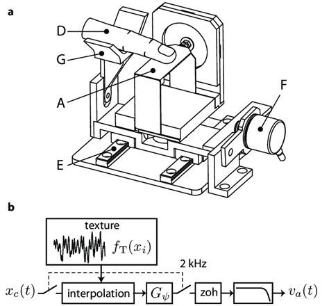 Stimulator Operation A The Transducer Is Mounted On Linear Download Scientific Diagram