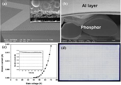 A Sem Image Of Cathode Structure Showing The Arrangement Of Gate Download Scientific Diagram