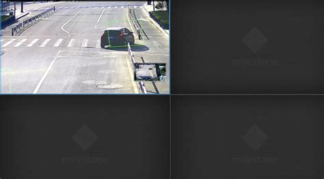 Draw Rectangle On Viewitem And Get Coordinates