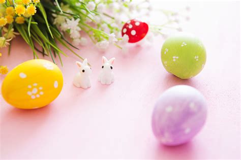 토끼 또는 토끼 장난감 및 꽃 분홍색 나무 배경에 부활절 달걀으로 구성 0명에 대한 스톡 사진 및 기타 이미지 0명 계절 공휴일 Istock