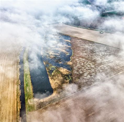 The Local Wetlands With Dissipating Fog Rdrones