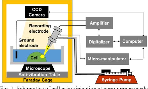Figure 1 From Monitoring Microinjection Process Of Small And Non